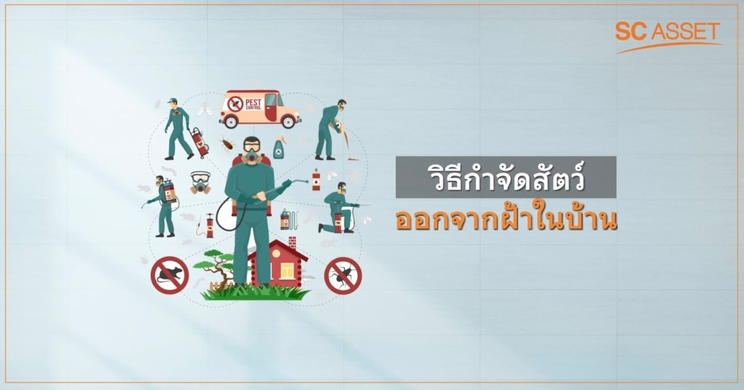 5 Effective Ways to Permanently Get Rid of Rats